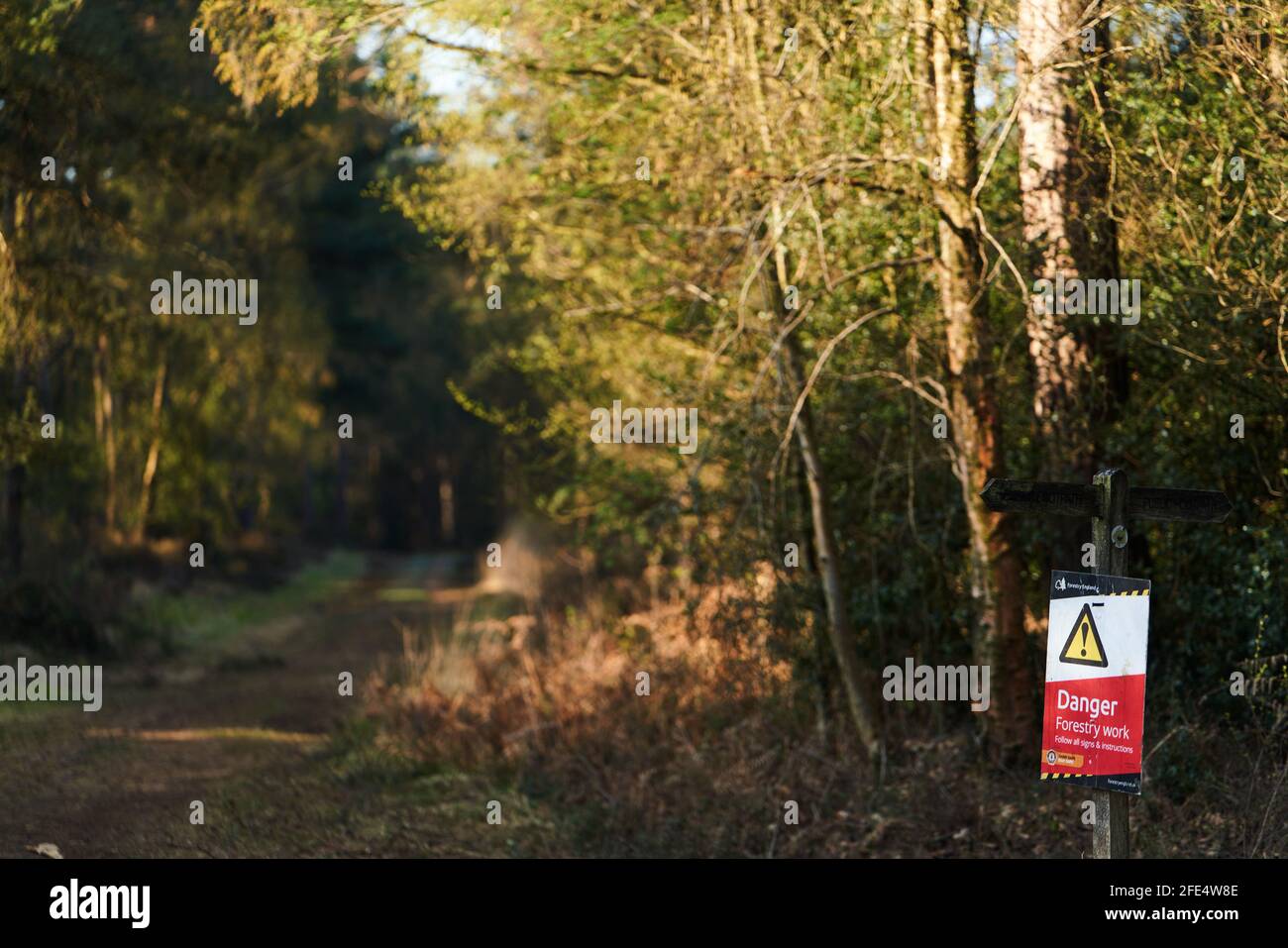 Forest forestry commission warning sign hi-res stock photography and ...