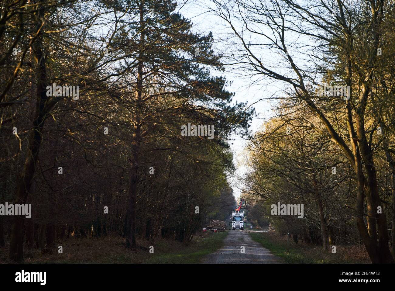 Lorry with trees hi-res stock photography and images - Alamy