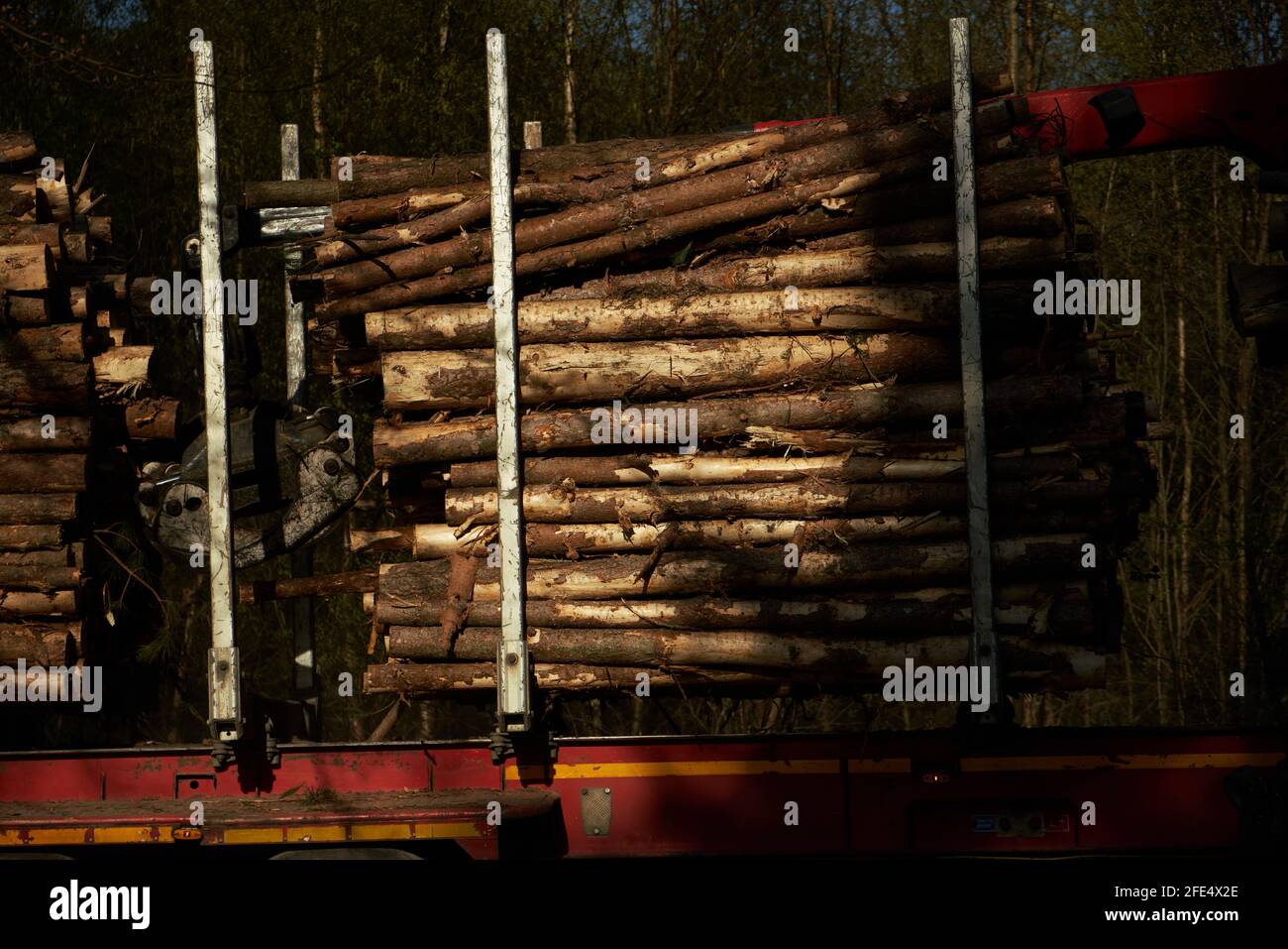 Harvested trees stacked onto a lorry for timber production Stock Photo ...
