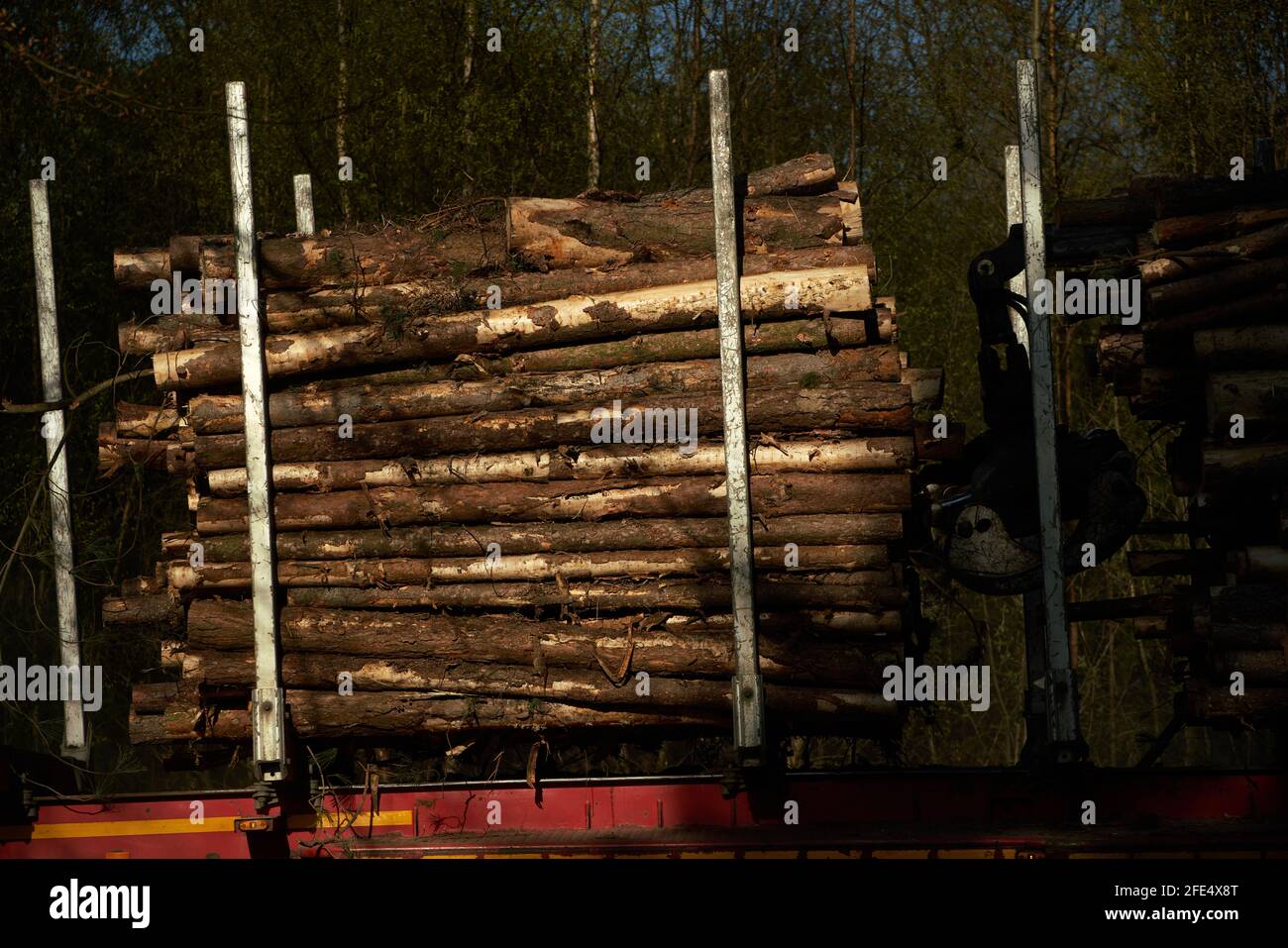 Timber production hi-res stock photography and images - Alamy