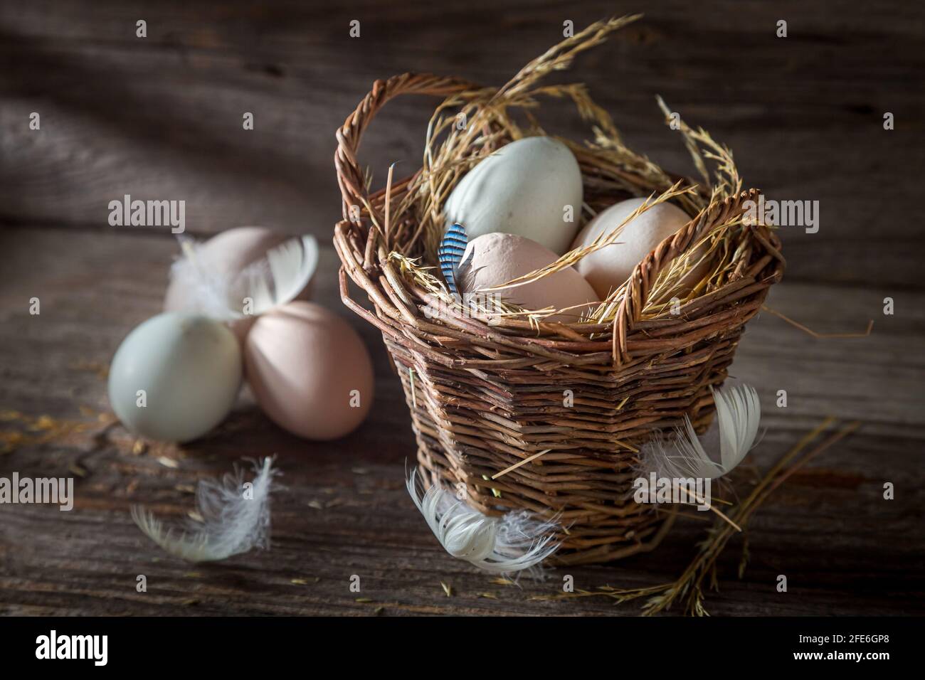 Eggs from free range. Fresh and ecological eggs from the henhouse Stock ...