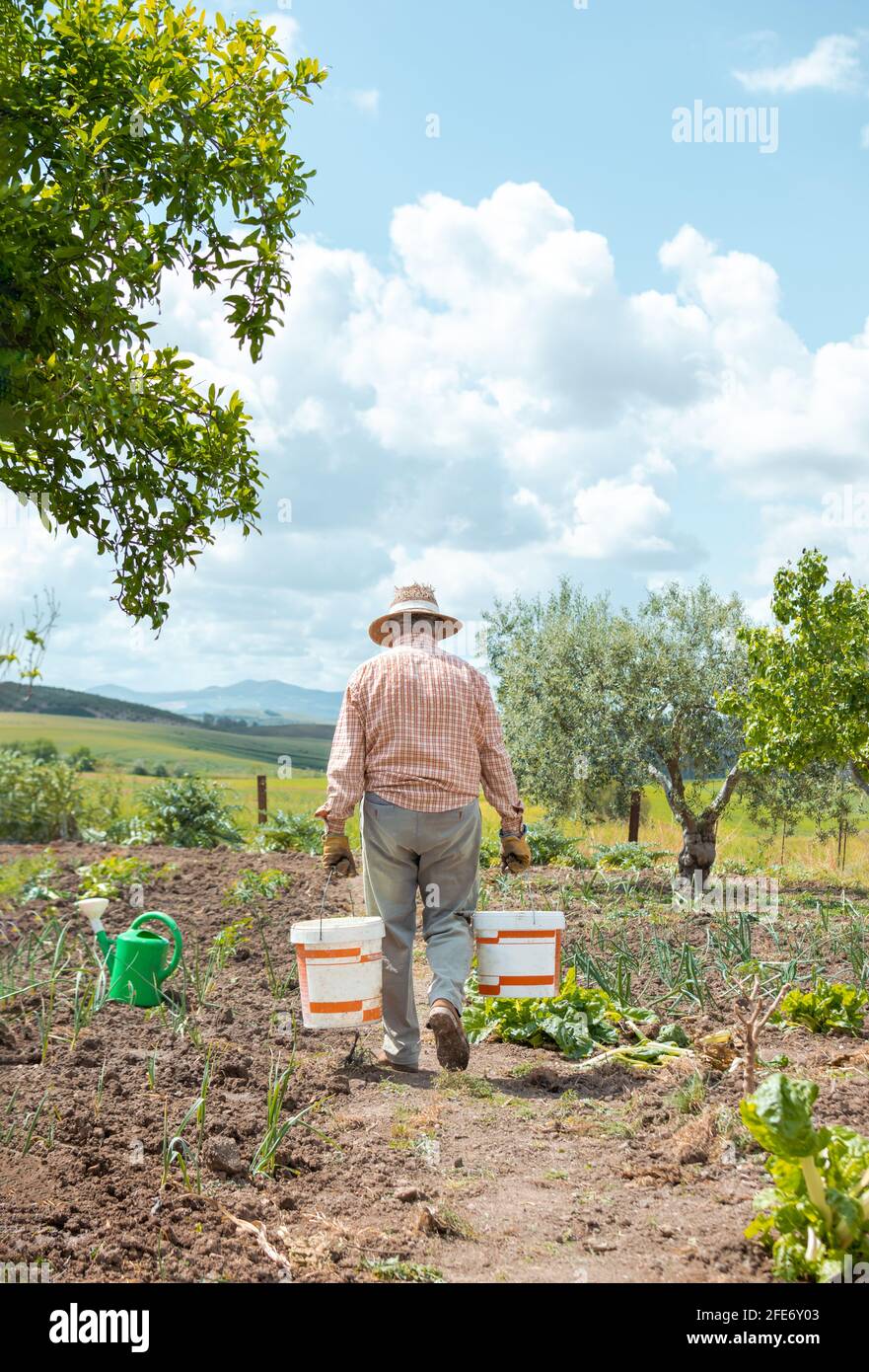 Male farmer carrying watering can hi-res stock photography and images ...