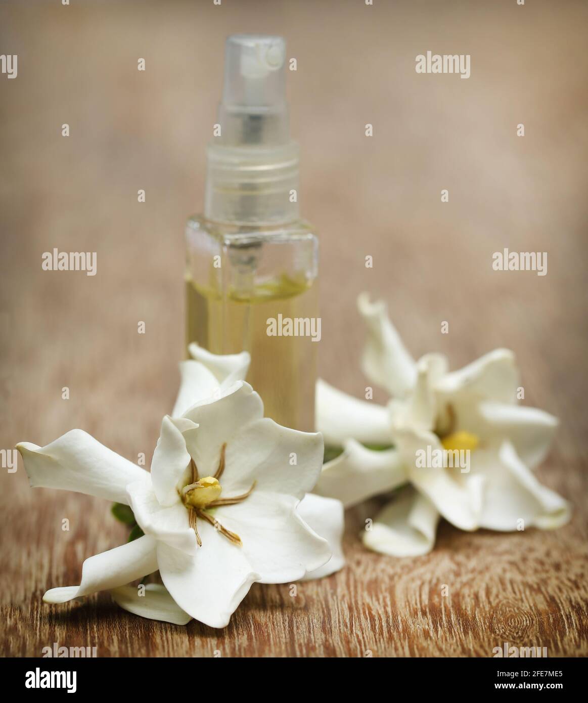 Gondhoraj hi-res stock photography and images - Alamy