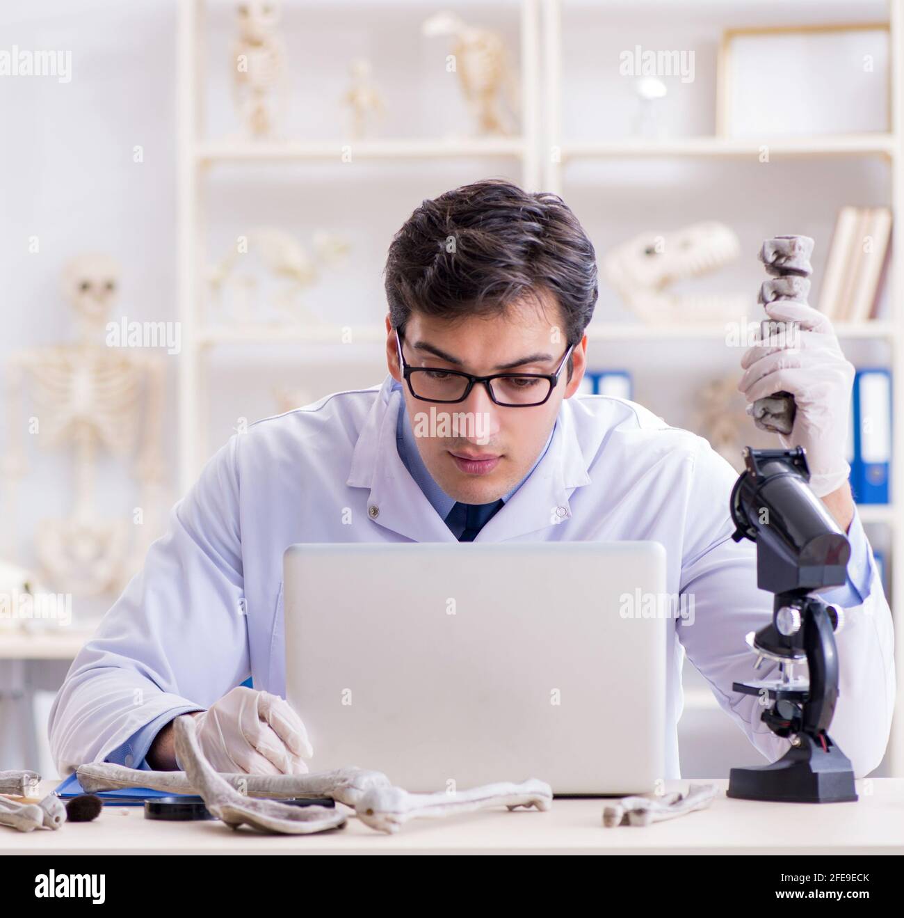 The professor studying human skeleton in lab Stock Photo - Alamy