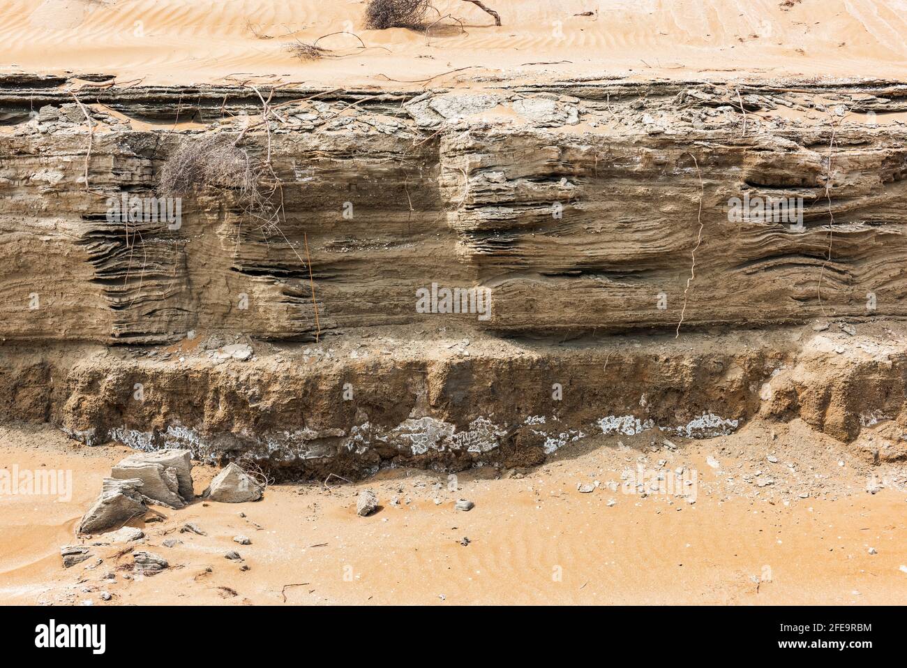 Desert surface rock hi-res stock photography and images - Alamy