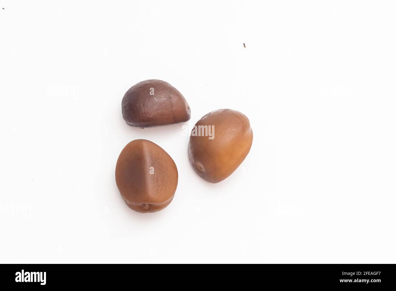 seeds Salak snake fruit isolated on white background with clipping path ...