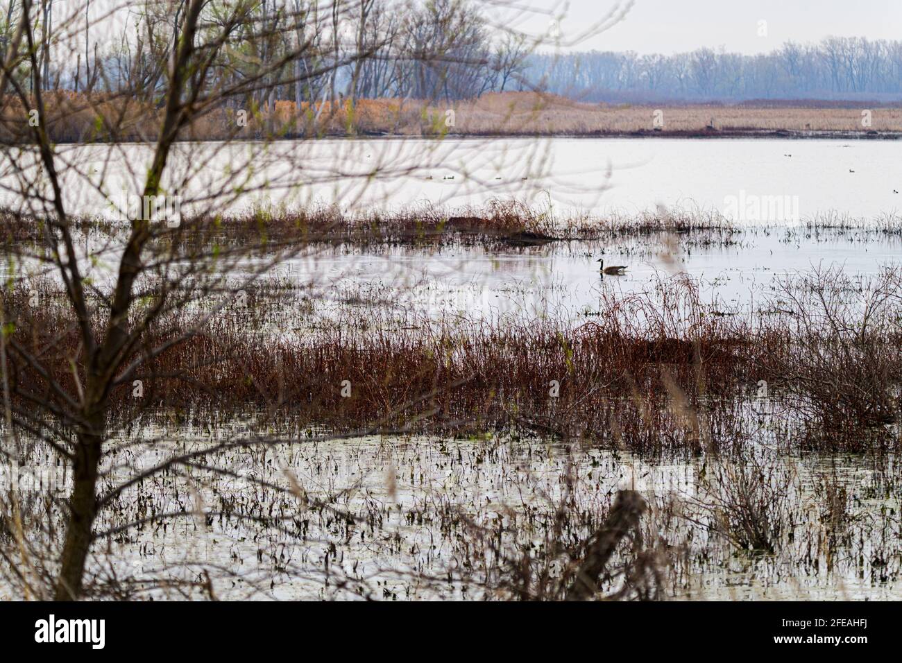 Ohio marsh hi-res stock photography and images - Alamy