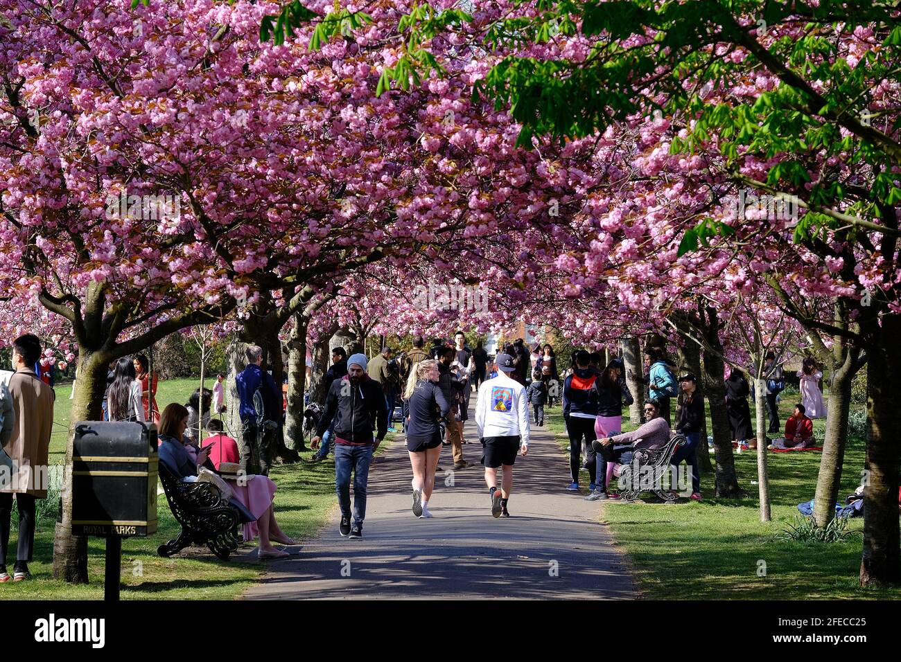 London, UK. 24th Apr, 2021. Greenwich Park London 24th April 2020 The ...