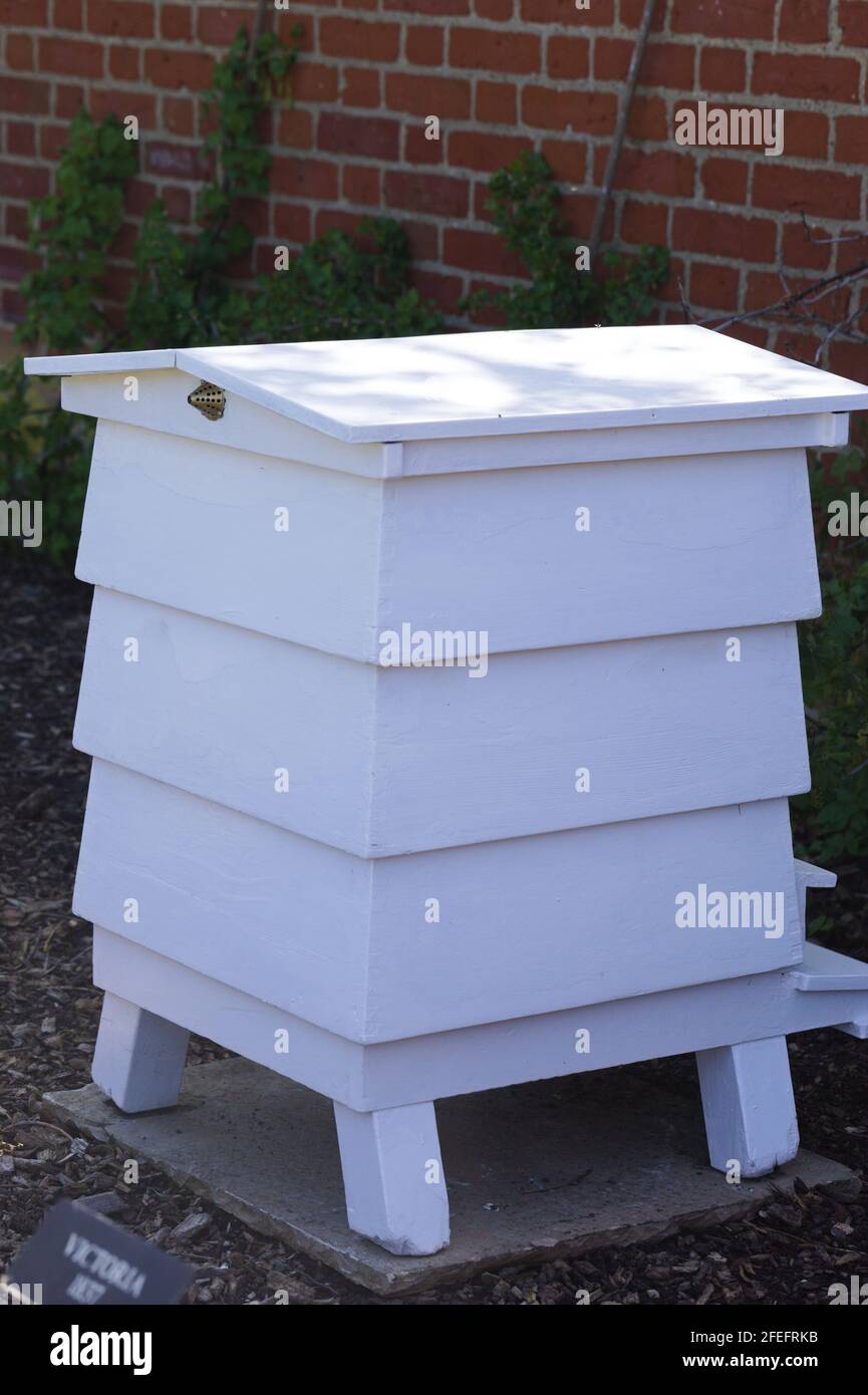 Stylish beehive hi-res stock photography and images - Alamy