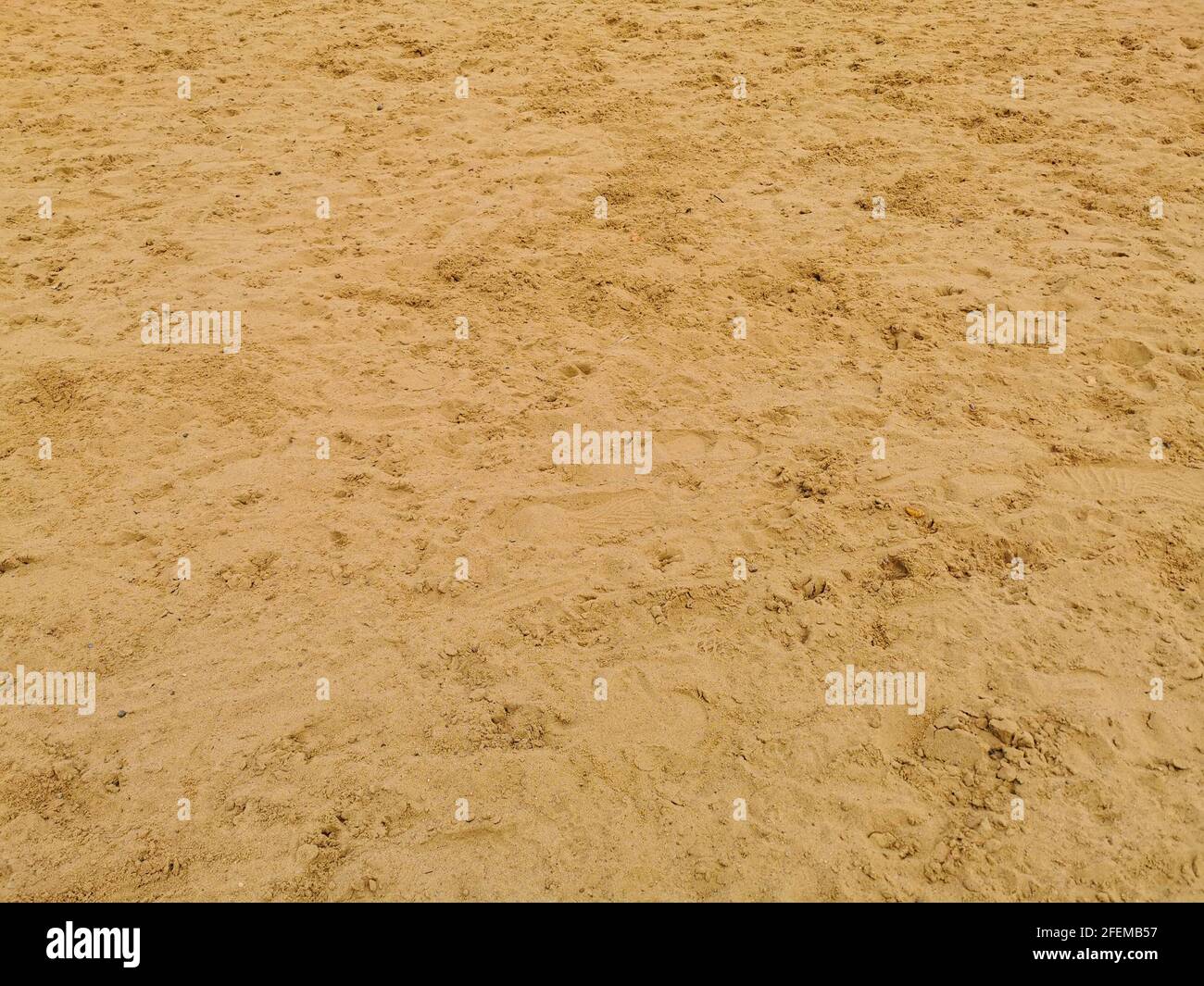 Closeup view of beach sand grain Stock Photo - Alamy