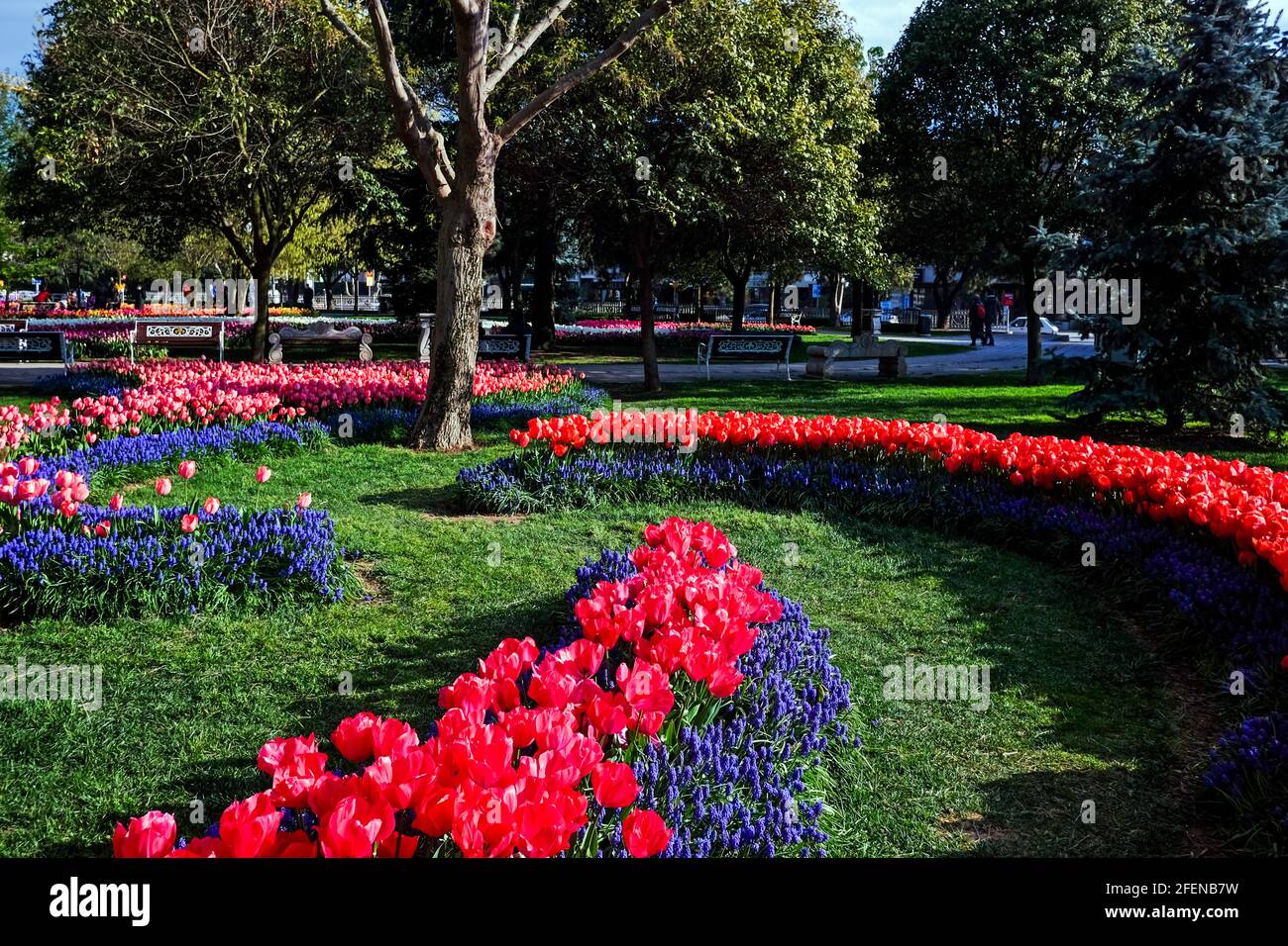Tulip festival in amazing flowering garden Stock Photo - Alamy