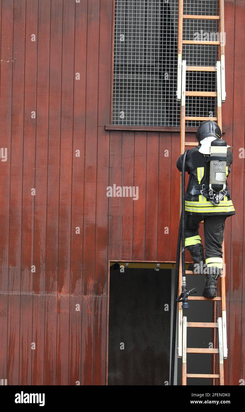 firefighter while performing an operation on the long wooden ladder ...