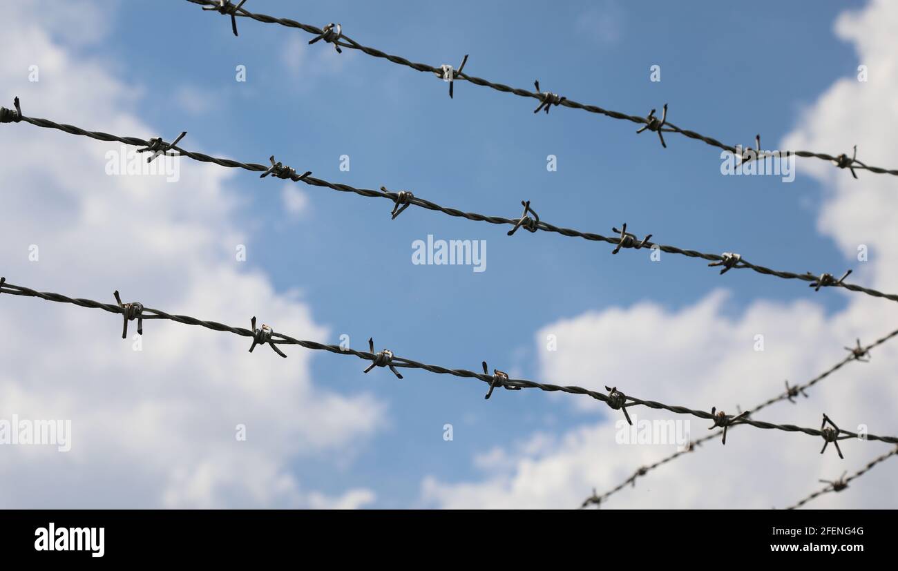 many lines of barbed wire to delimit the boundary of the territory ...