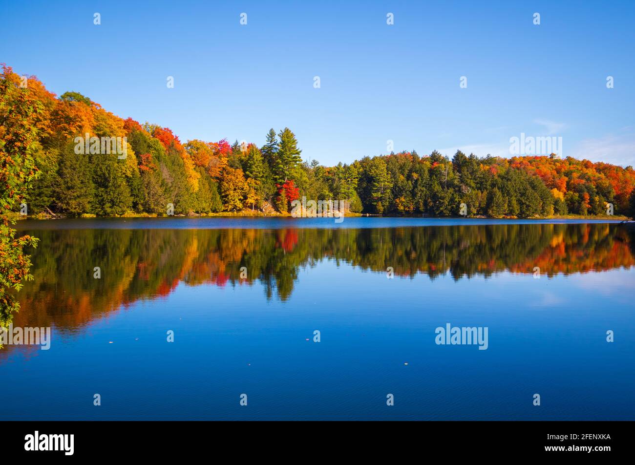 Fall colours and a clear blue sky reflecting off of a calm blue lake ...