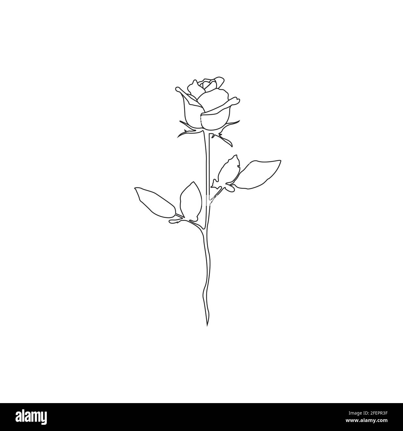 One line rose design. Hand drawn minimalism style vector illustration ...