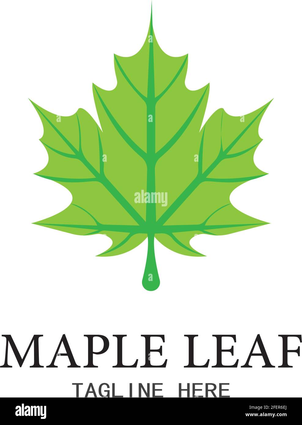 Maple leaf vector illustration design template Stock Vector Image & Art ...