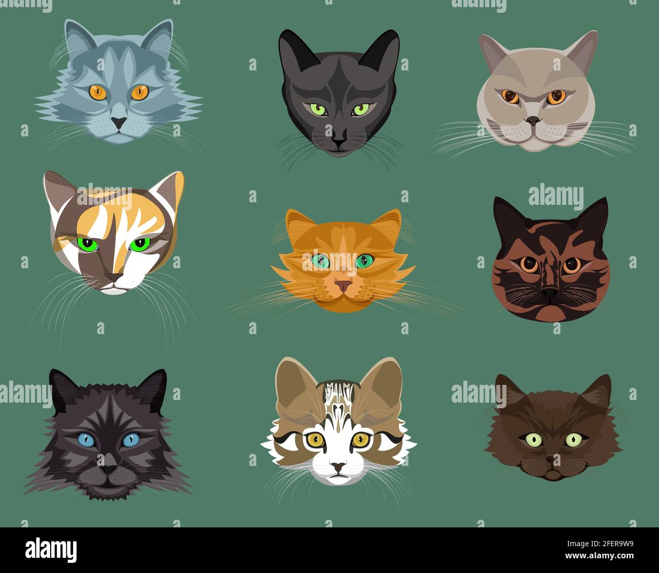 nine faces of different cats, each has its own character and its own ...