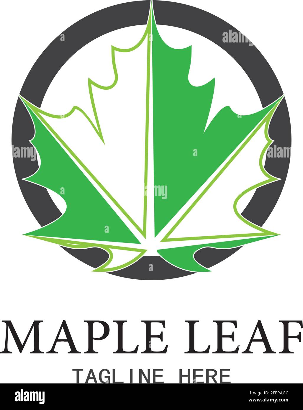 Maple leaf vector illustration design template Stock Vector Image & Art ...