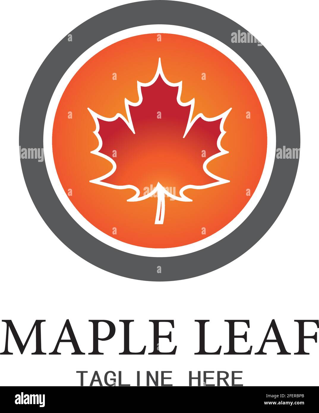 Maple leaf vector illustration design template Stock Vector Image & Art ...