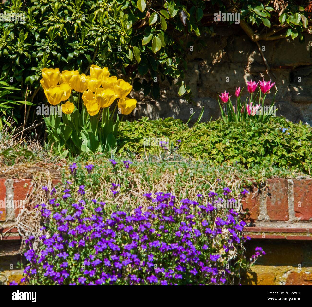 Informal border hi-res stock photography and images - Alamy