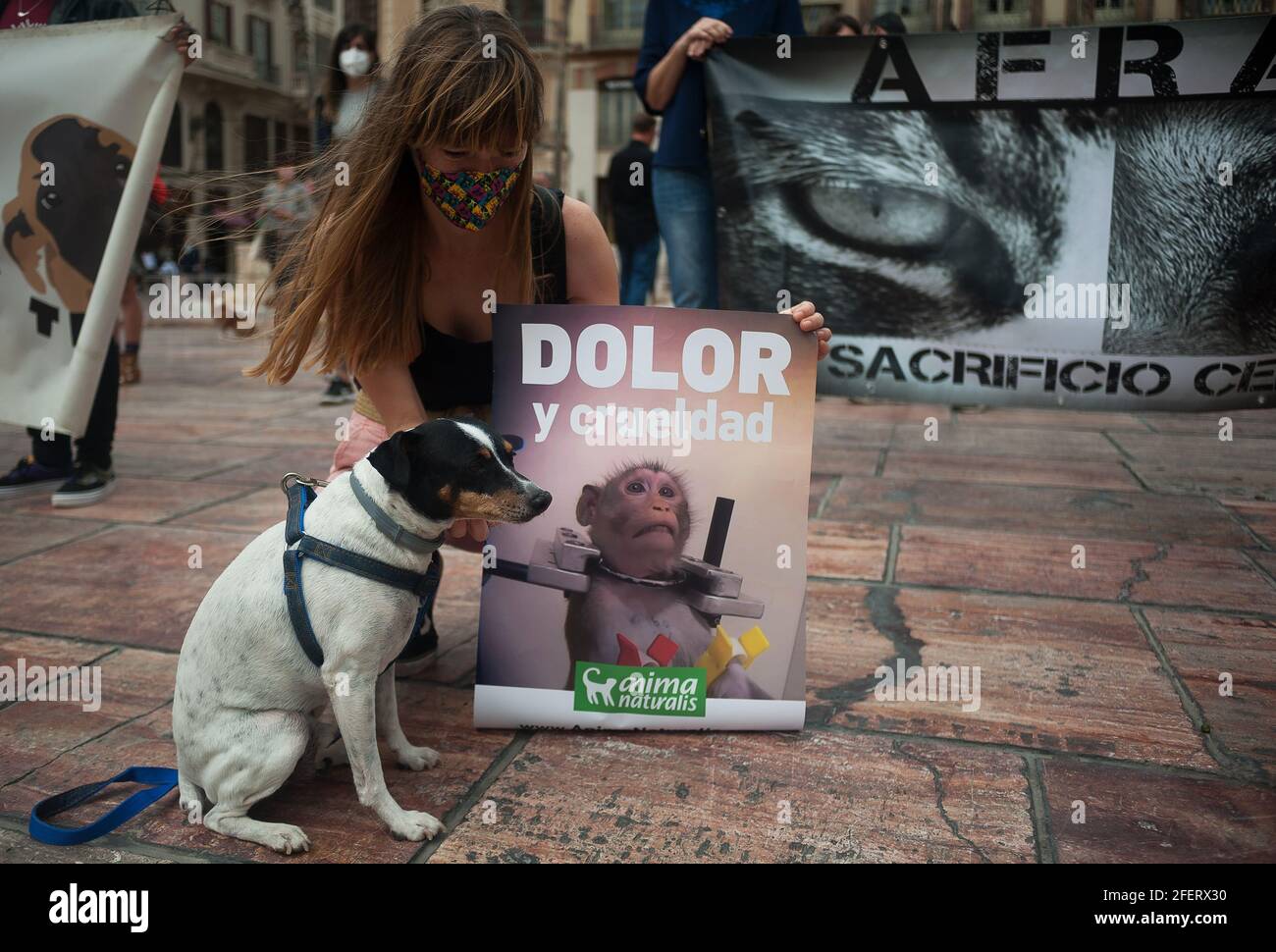Malaga, Spain. 24th Apr, 2021. A protester seen with her dog and a ...