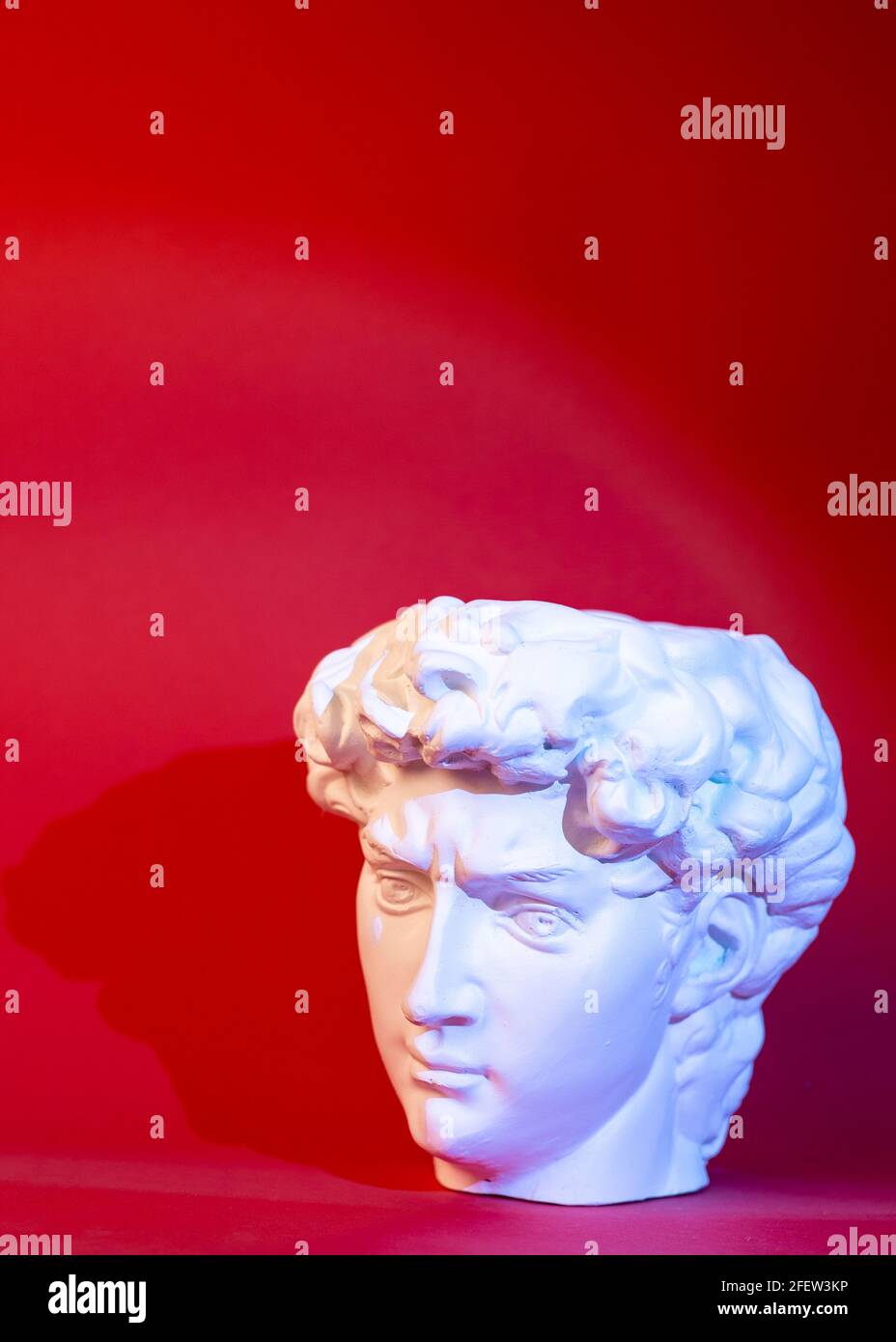 Gypsum statue of David's head. Michelangelo's David statue plaster copy Stock Photo - Alamy