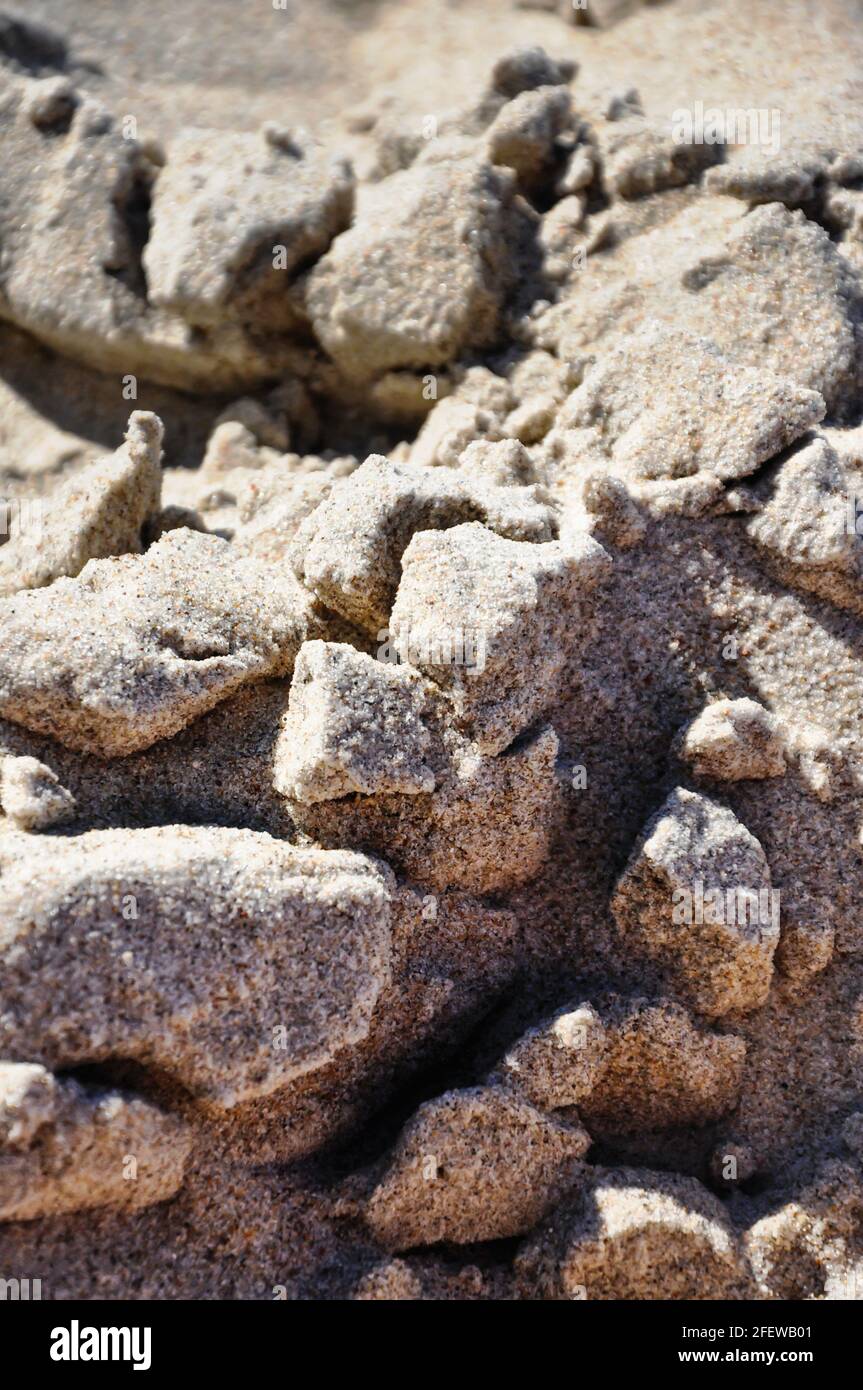 Sandy surface on the beach. This got wet and the surface has a brittle ...