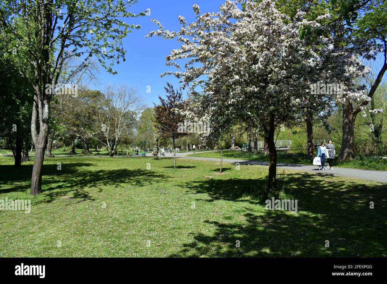 Bute park in city centre hi-res stock photography and images - Alamy