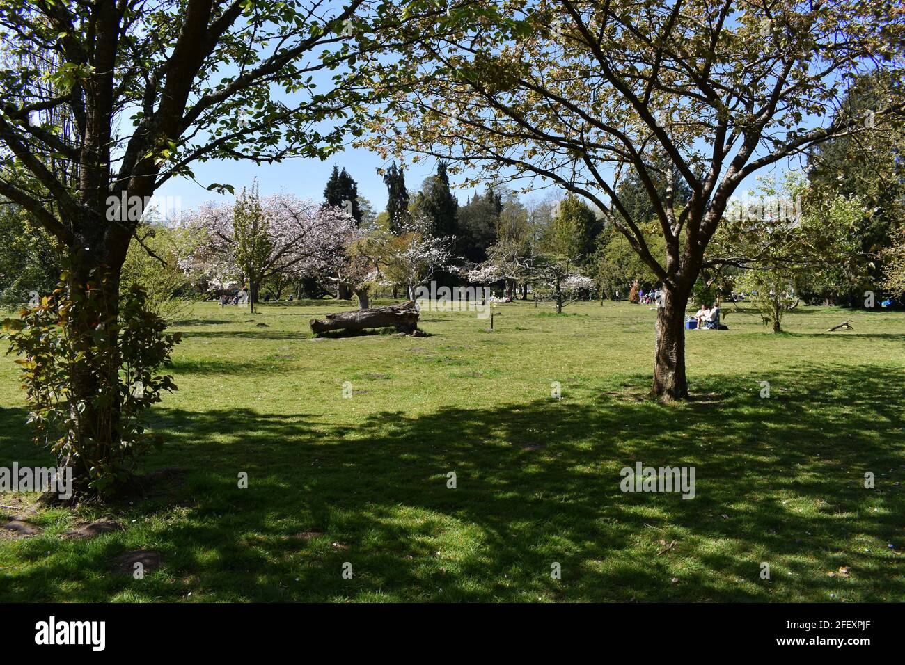 Bute park, cardiff spring hi-res stock photography and images - Alamy