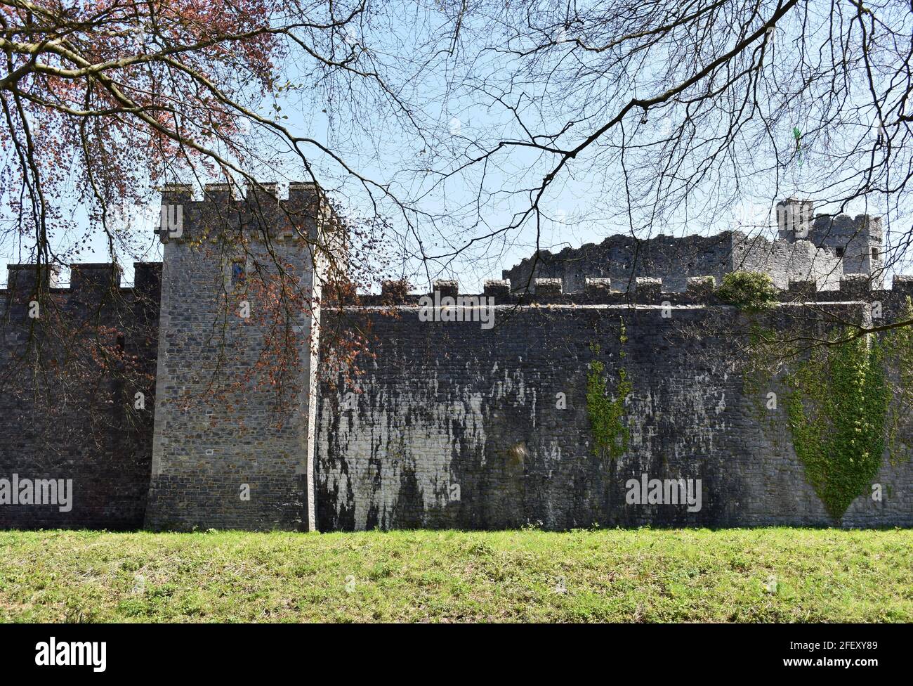 View through the trees of the top of Cardiff Castle Keep from outside ...