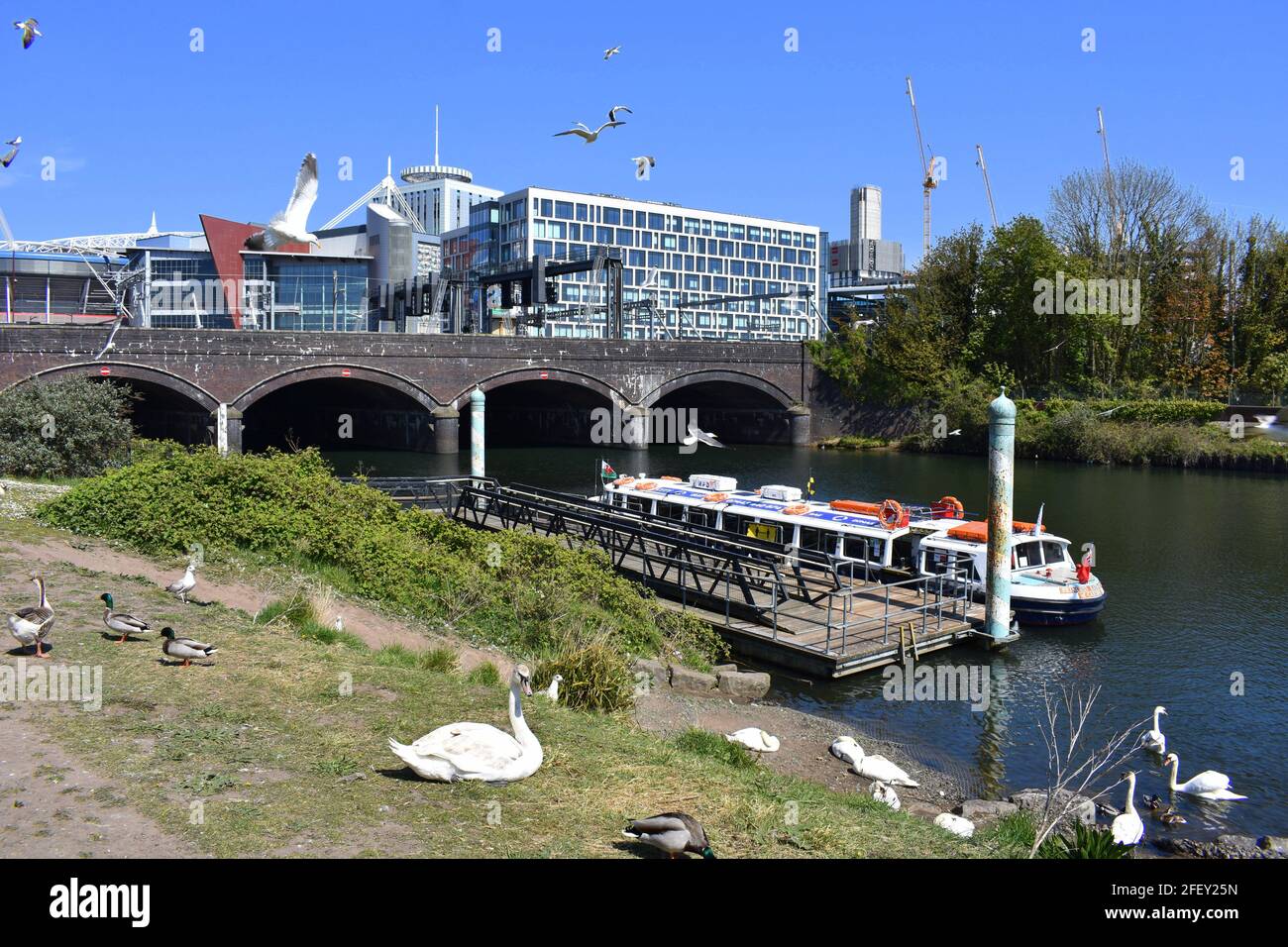 Aquabus Pier High Resolution Stock Photography and Images - Alamy
