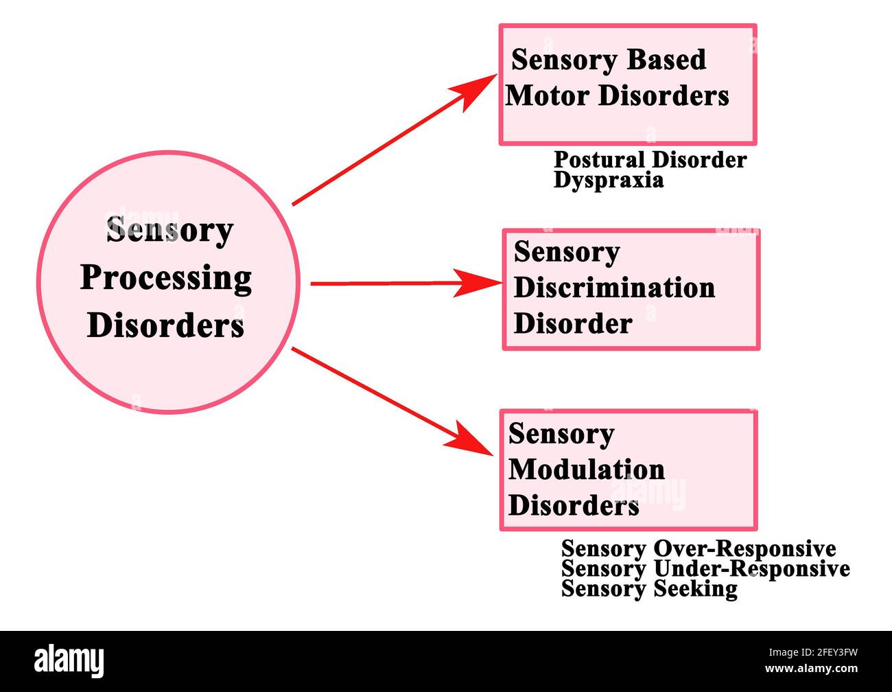 Sensory Overload Dyspraxia at David Carstens blog