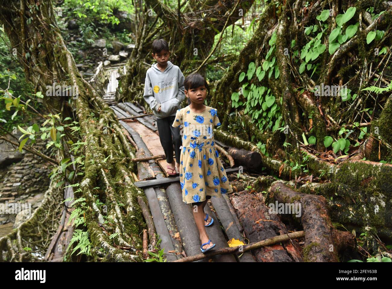Khasi children walking on the Bouble decker living root bridge, in ...