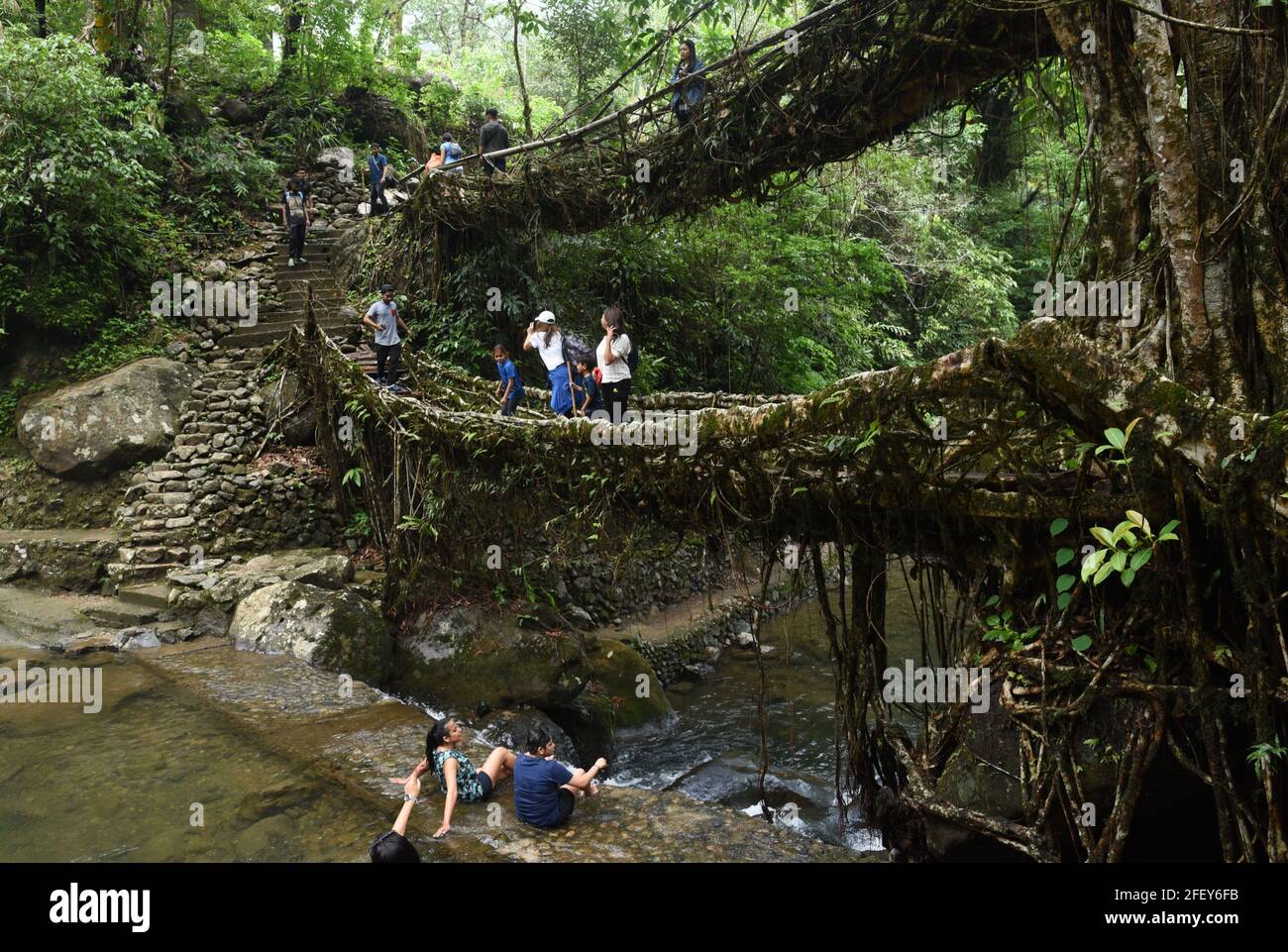 Tourists visits the double decker living root bridge amid COVID-19 ...
