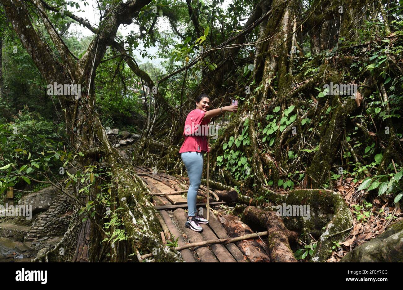 Tourists visits the double decker living root bridge amid COVID-19 ...
