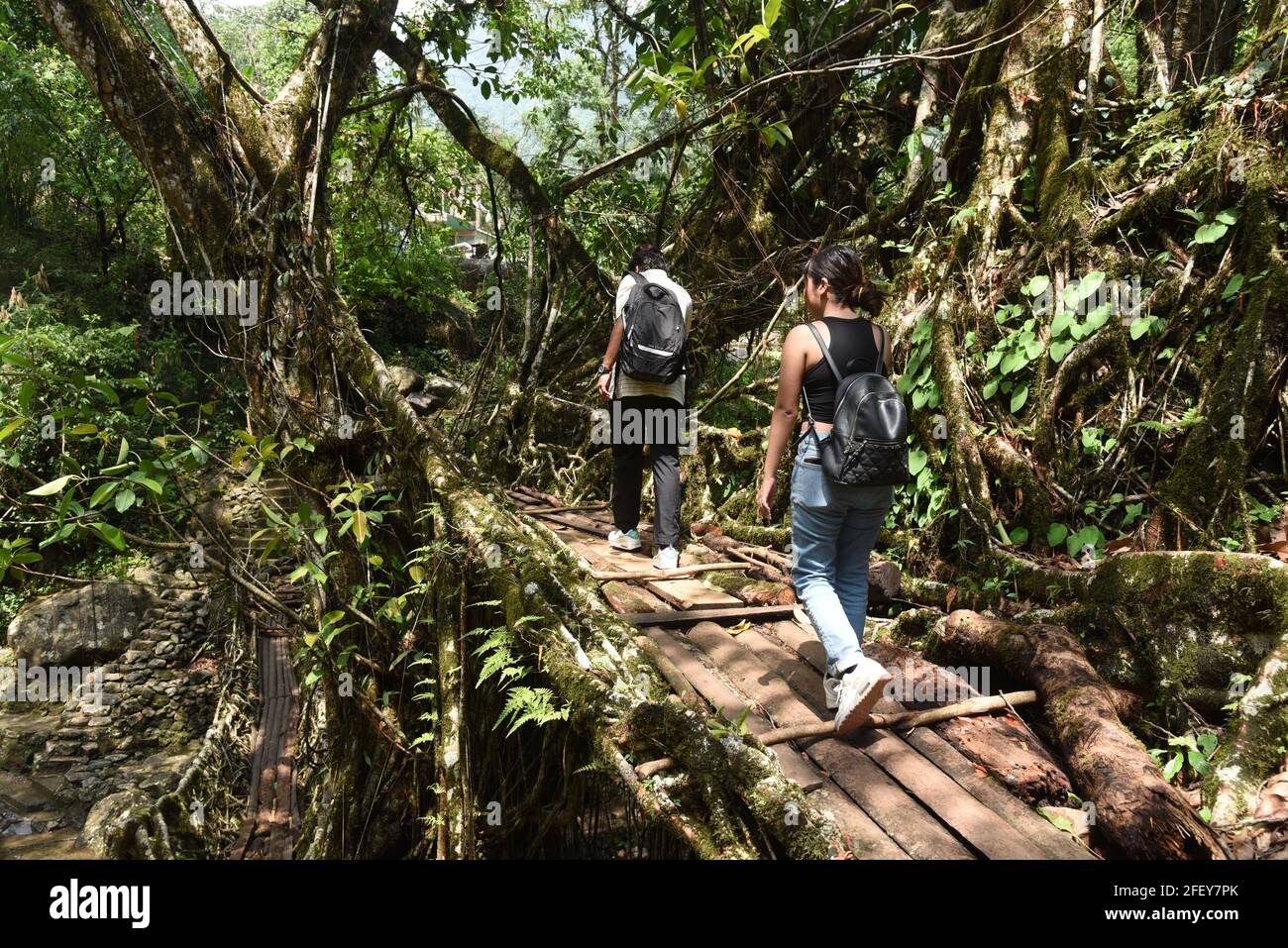 Tourists visits the double decker living root bridge amid COVID-19 ...