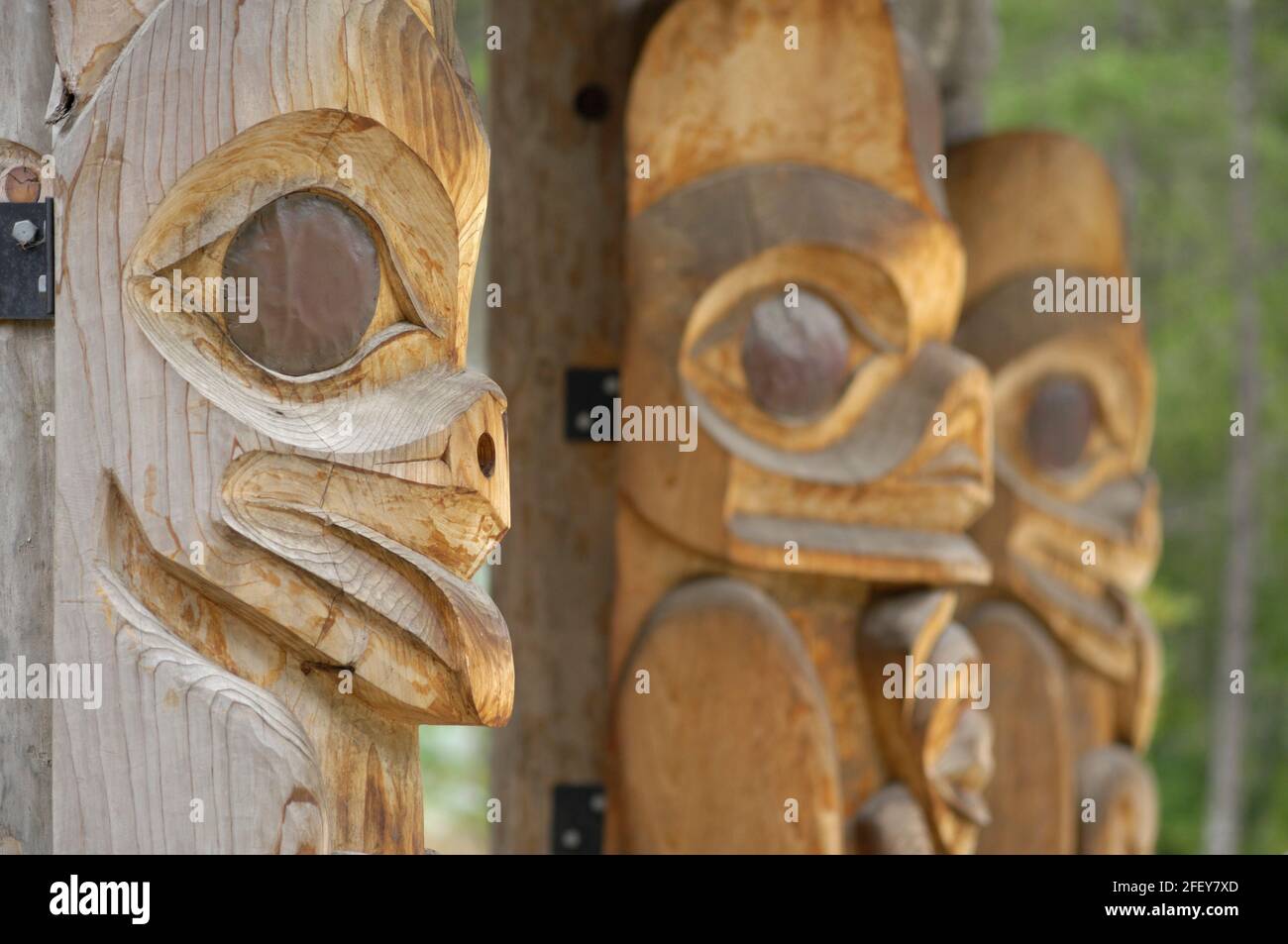 Indians welcome americans hi-res stock photography and images - Alamy