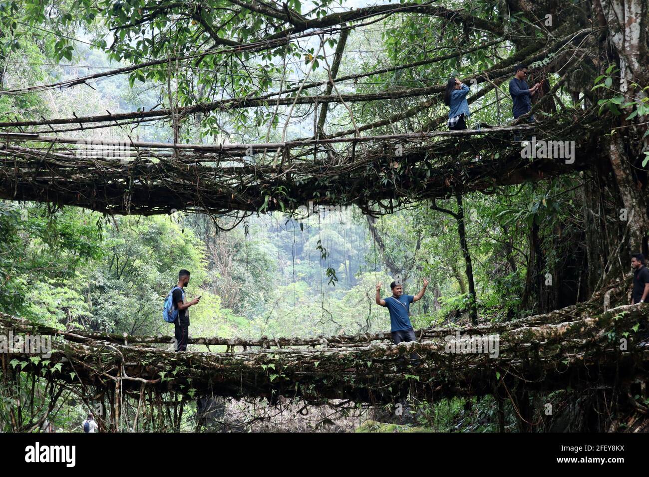Tourists visits the double decker living root bridge amid COVID-19 ...