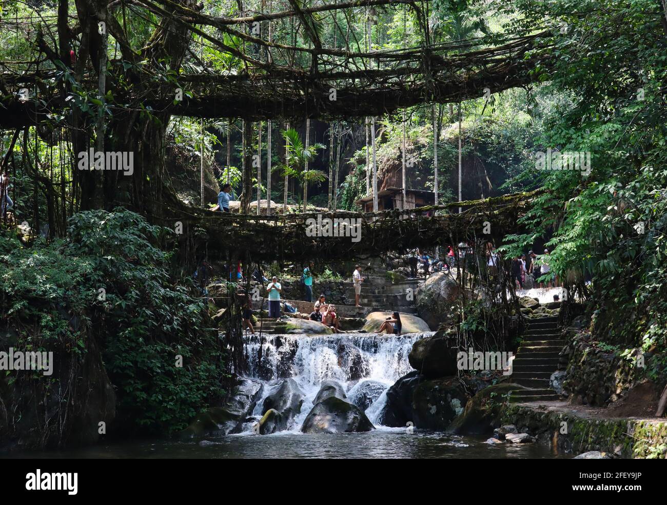 Tourists visits the double decker living root bridge amid COVID-19 ...