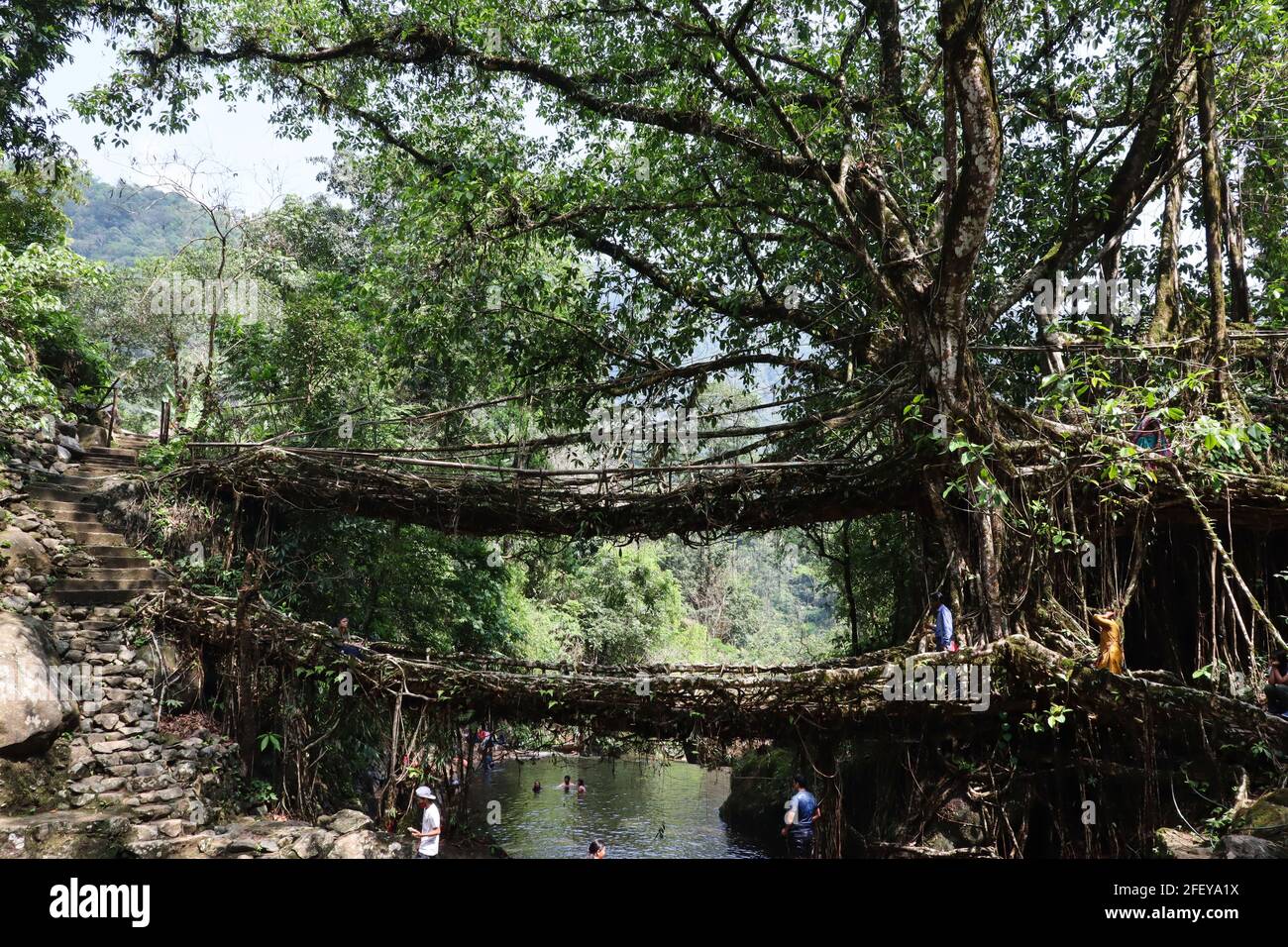 Tourists visits the double decker living root bridge amid COVID-19 ...