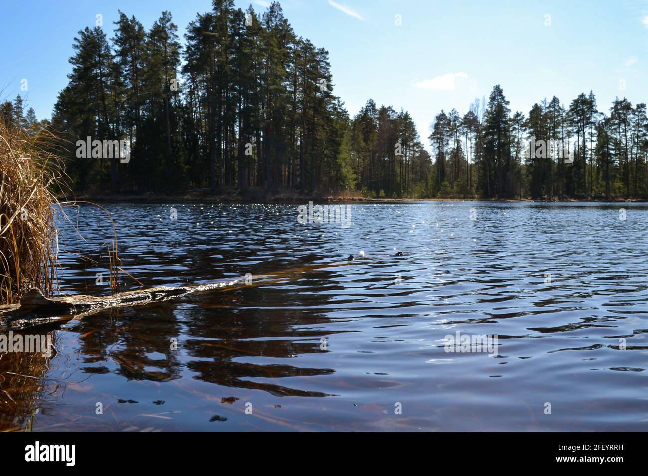 Calm environment hi-res stock photography and images - Alamy