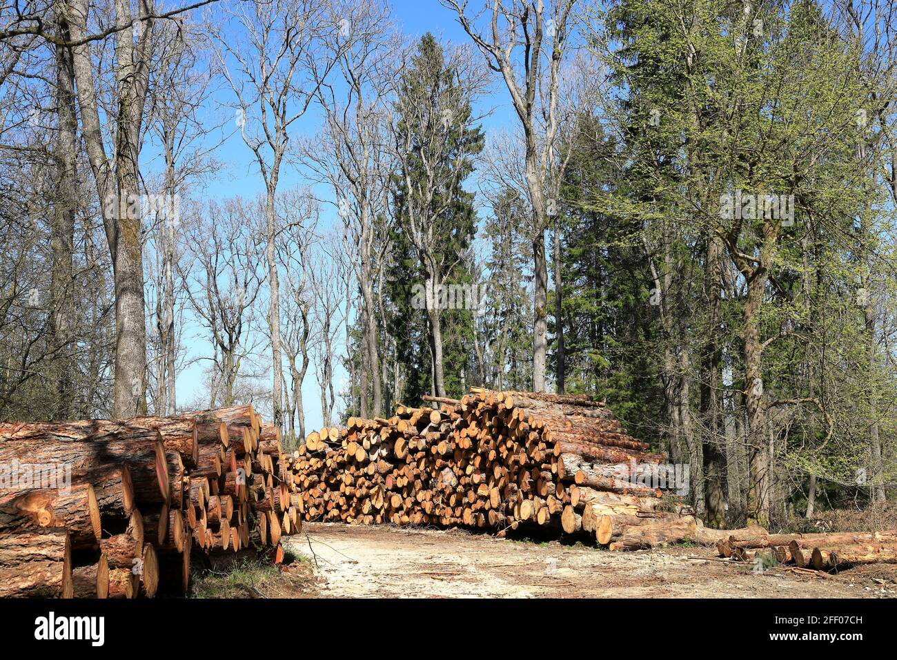 Stacks of timber hi-res stock photography and images - Alamy