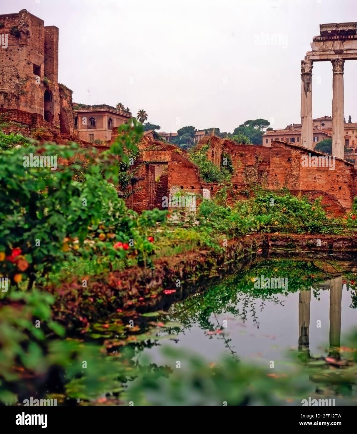 Roman Forum in Rome, Italy Stock Photo - Alamy