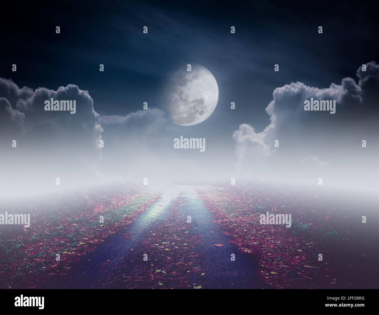 Beautiful pathway path to tranquil nighttime sky. Attractive photo of a ...