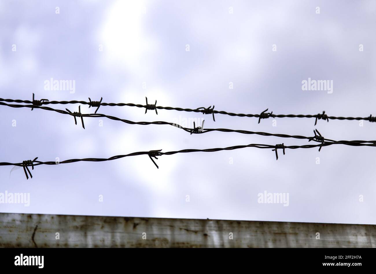 Barbed wire against immigration, human liberation, protection Stock ...