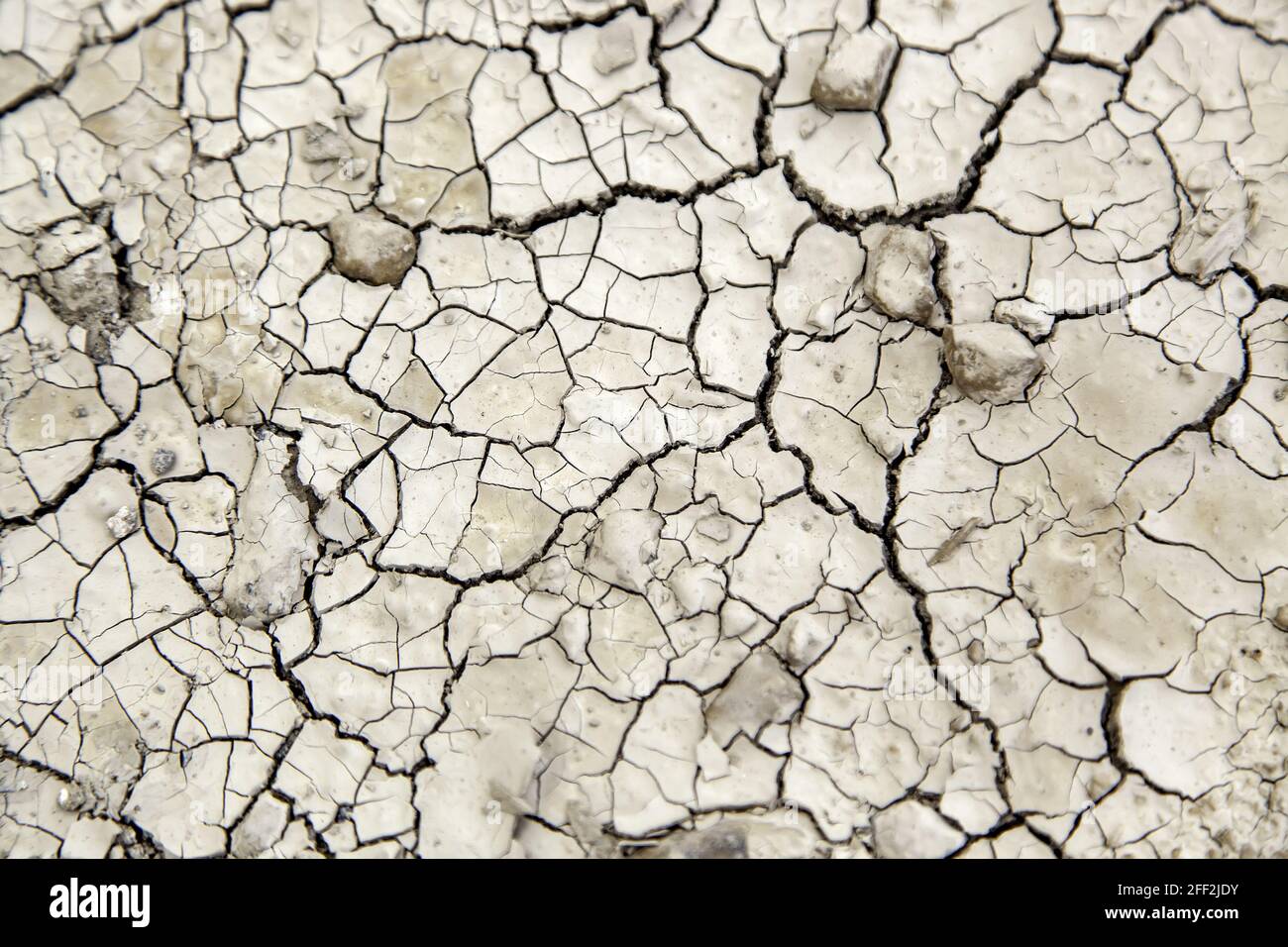 Cracked earth texture hi-res stock photography and images - Alamy