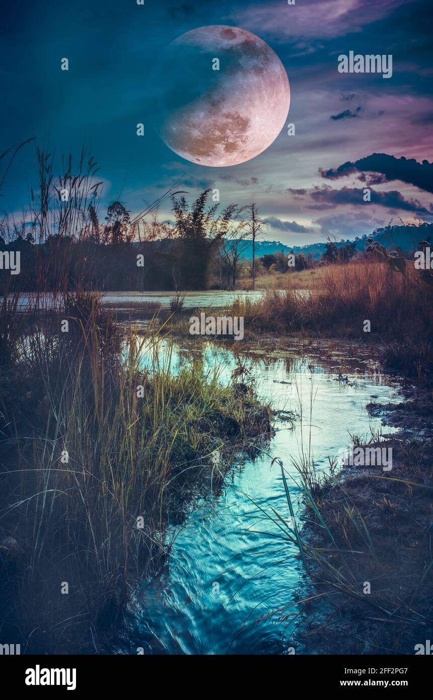 Night background moon tree hi-res stock photography and images - Alamy