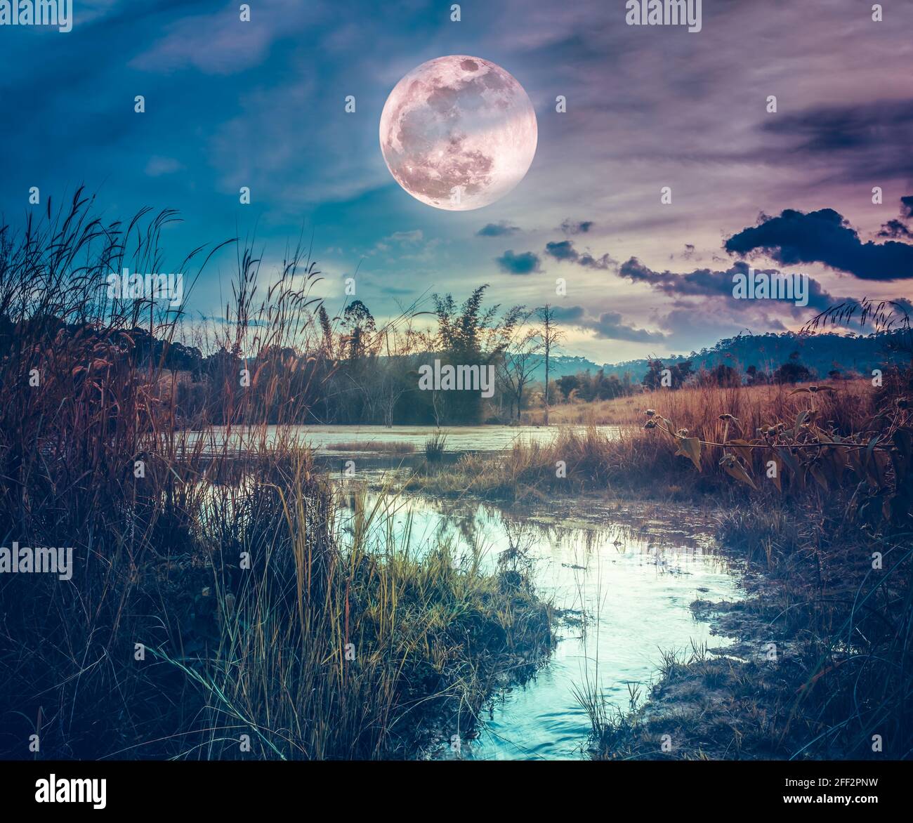 Scary lake night hi-res stock photography and images - Alamy