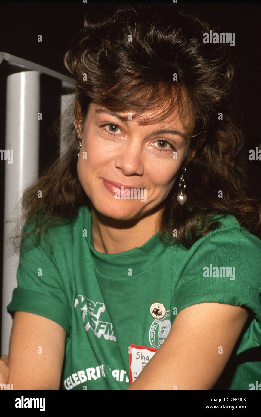 Shanna Reed Circa 1980's Credit: Ralph Dominguez/MediaPunch Stock Photo ...