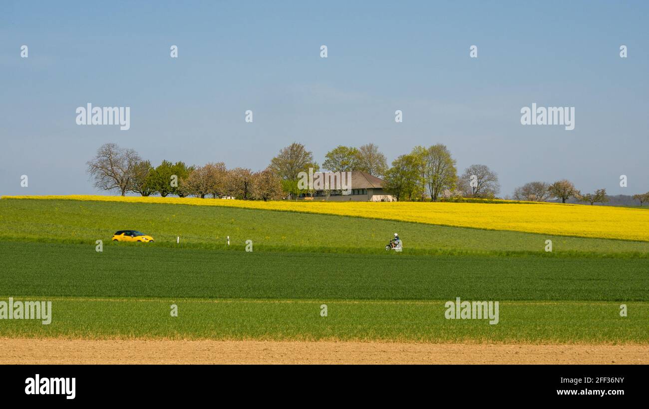 Spring in the countryside Stock Photo - Alamy